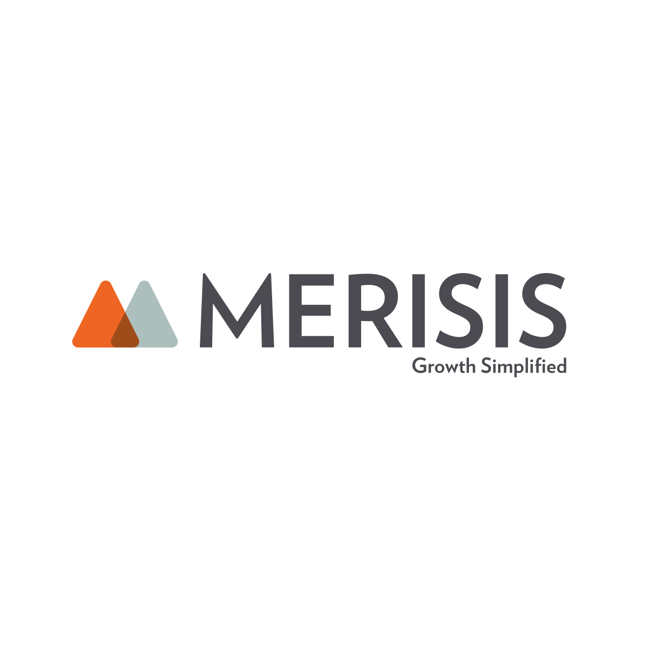 About Merisis Group